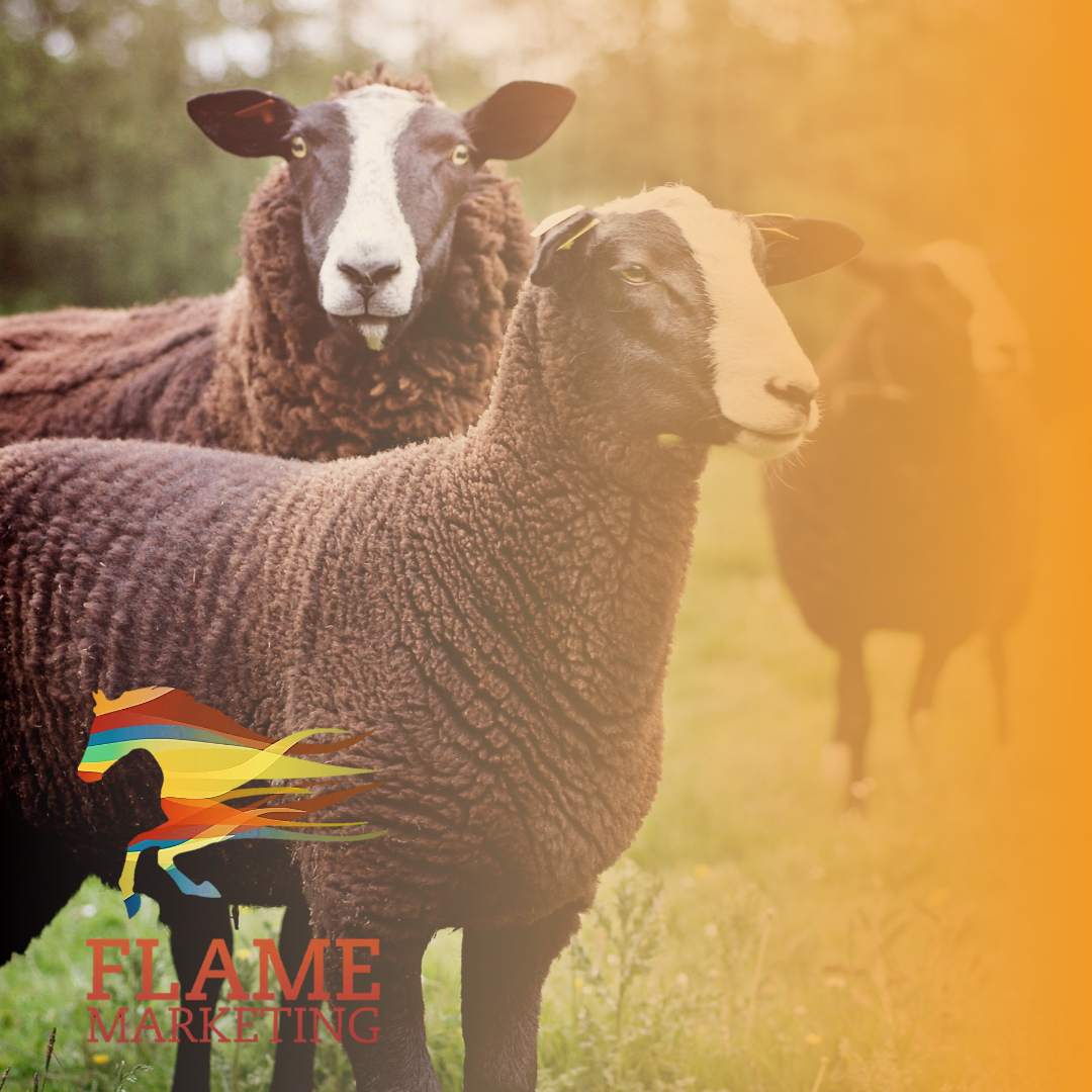 4 Profitable farm diversification ideas for sheep farmers | Farm marketing