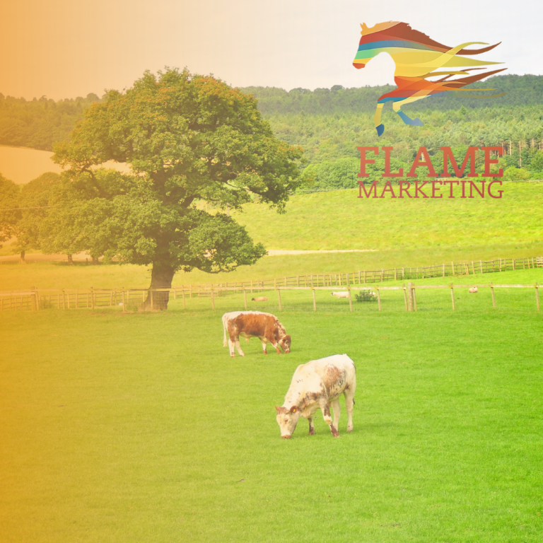 7 places to find social media content ideas for your farm marketing