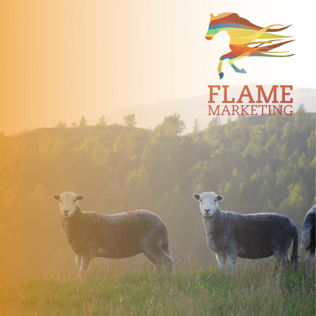 5, or more, profitable farm diversification ideas for sheep farmers