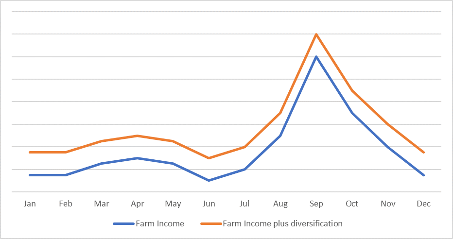 4 Profitable farm diversification ideas for sheep farmers | Farm marketing